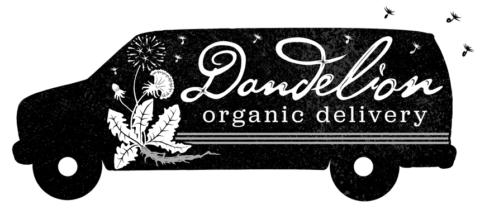 Bellingham Circus Guild | Magic Makers